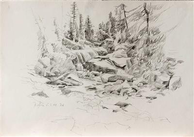 Zeichnungen mit Bleistift unmittelbar vor dem Motiv | Richard Abegg